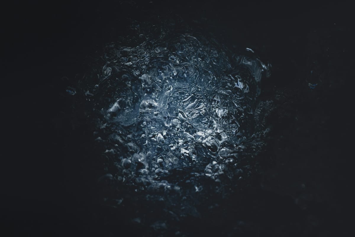 New Moon: Flooding the senses